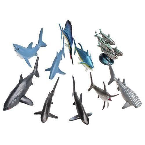 Generic Marine Animal Model Fish Model Sailfish Sardine Swordfish For ...
