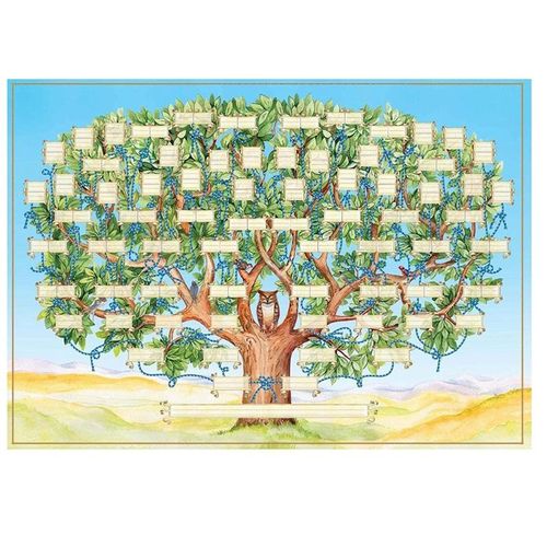 Generic Family Tree Chart To Fill In 6 Generation Genealogy Poster ...