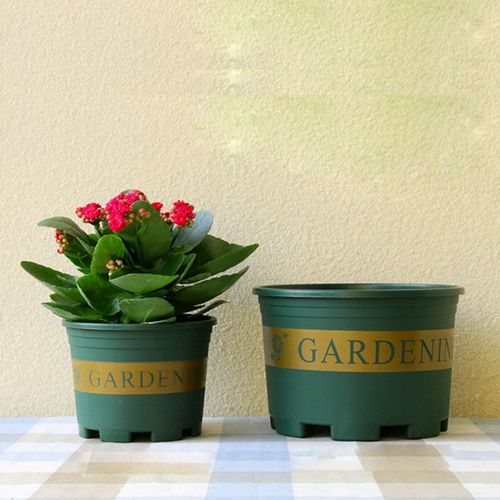 Generic Plastic Plant Nursery Pot With Tray | Jumia Nigeria